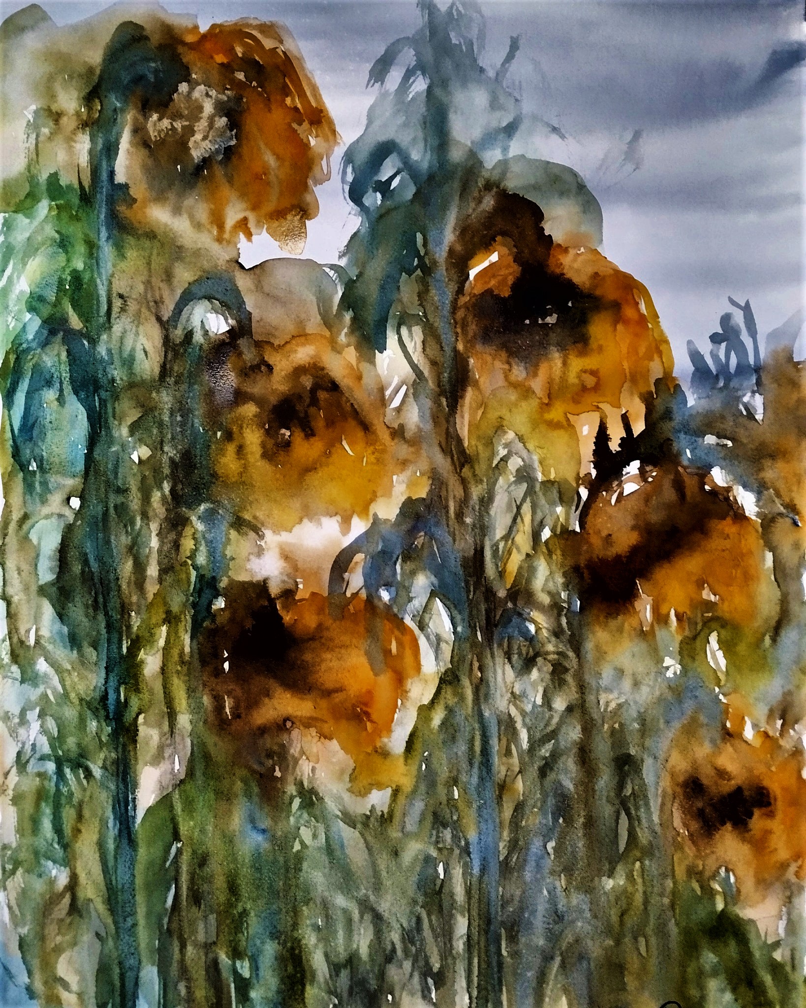 SUNFLOWER FIELD – PAINTINGS AND METAPHORS